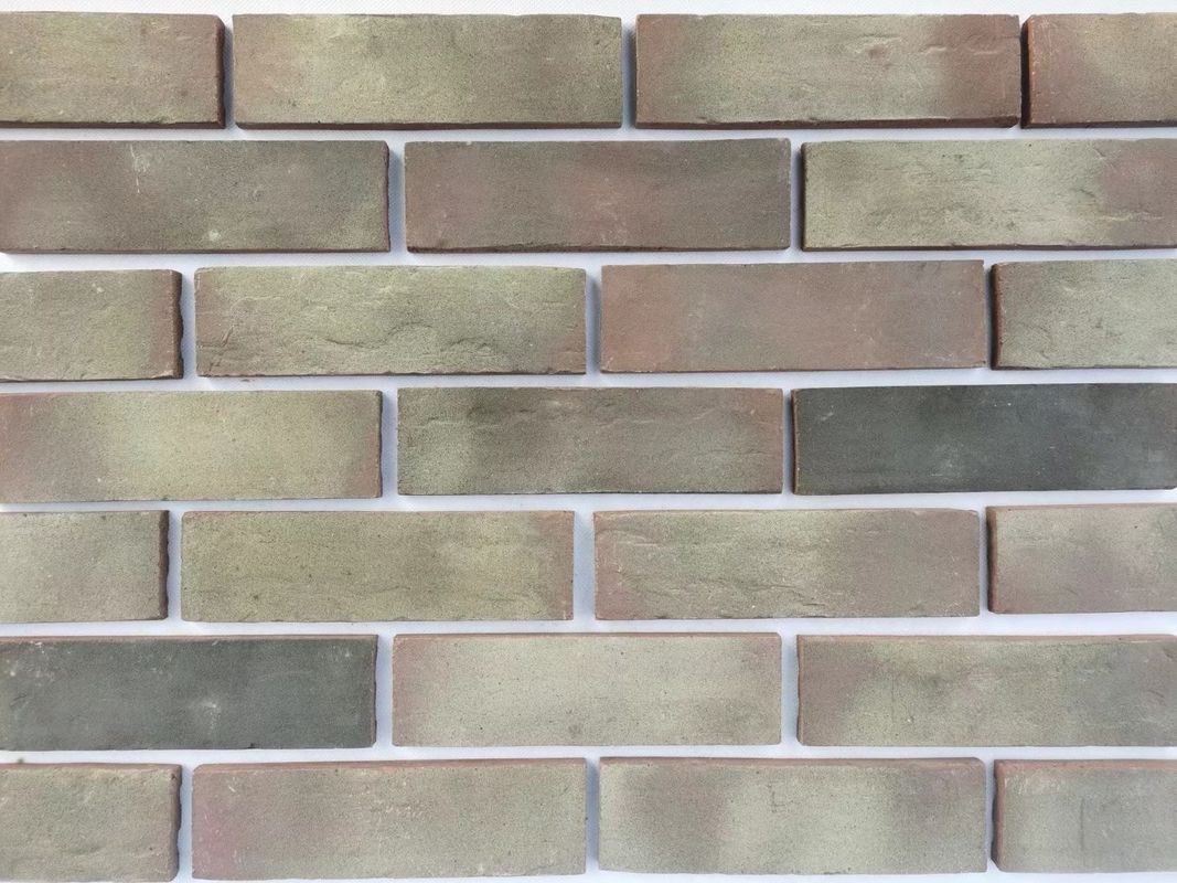 Sintered Inside Outside Exterior Brick Veneer Solid Porosity